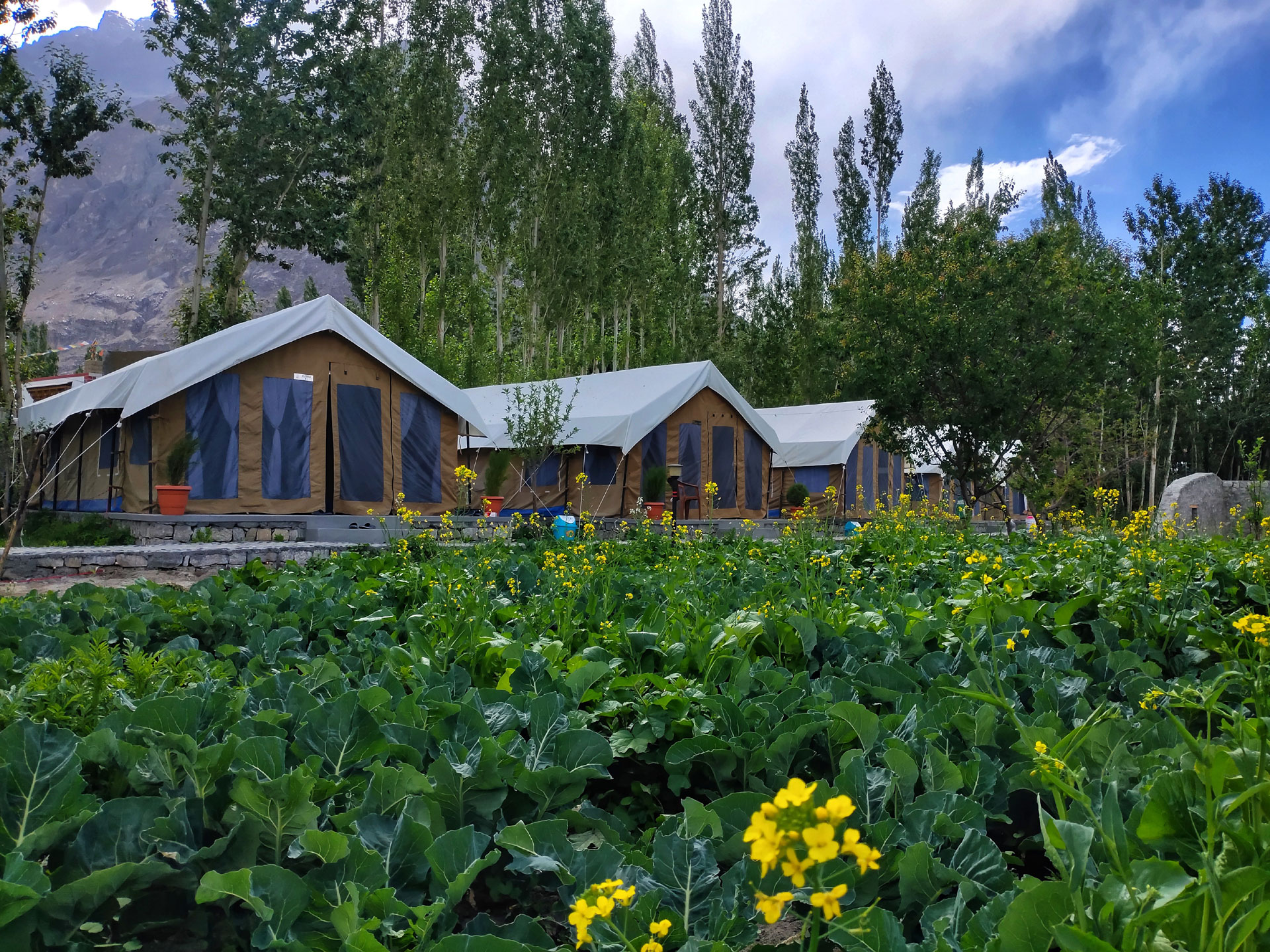 Organic Boutique – Hunder